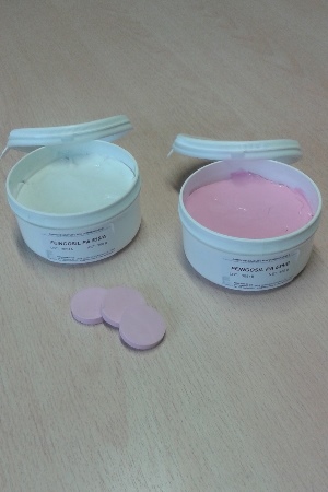 PA 535 - Feinchimica S.r.l.